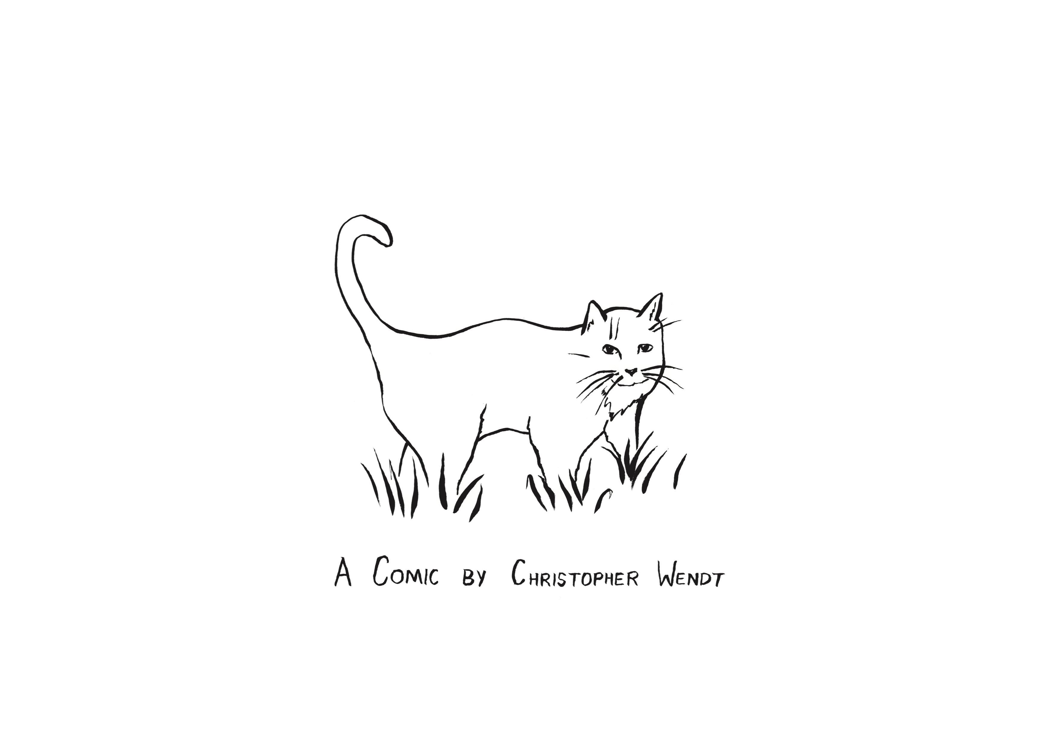 Christopher Wendt - COMD 335